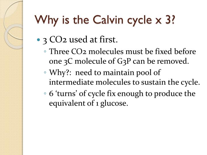 PPT - The Calvin Cycle PowerPoint Presentation - ID:2478793