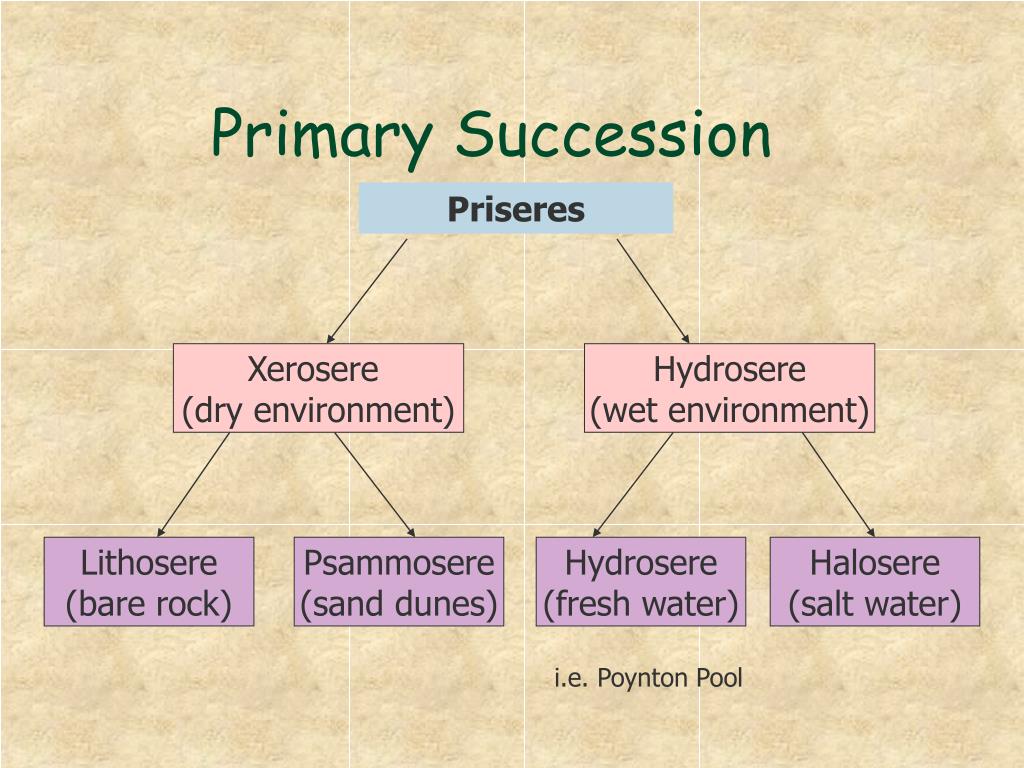 PPT - Succession A Case Study – Poynton Park and Pool – an arrested ...