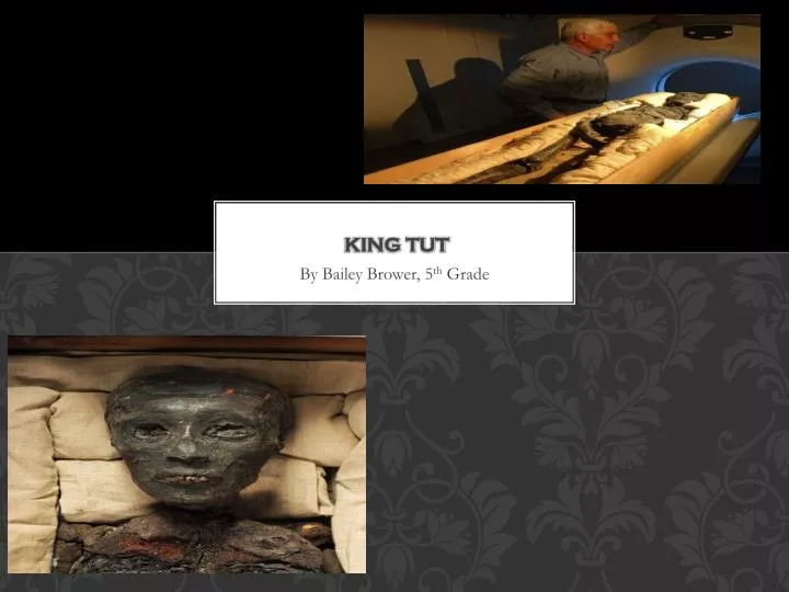 PPT - King Tut PowerPoint Presentation, free download - ID:2478871