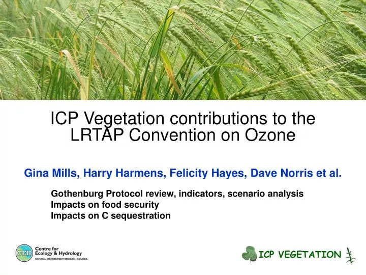 PPT - ICP Vegetation contributions to the LRTAP Convention on Ozone ...