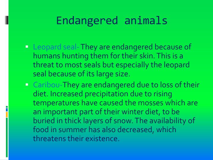 PPT - The Arctic Tundra Nuuk, Greenland PowerPoint Presentation - ID ...