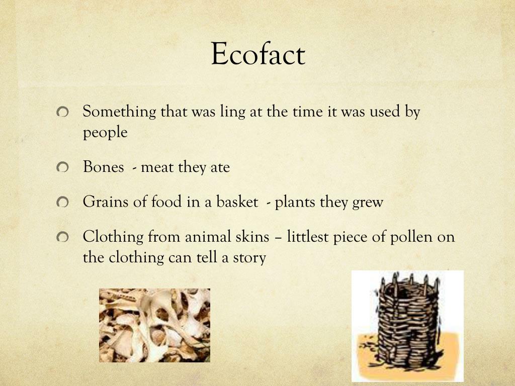 PPT - Archaeology Vocabulary PowerPoint Presentation, free download ...