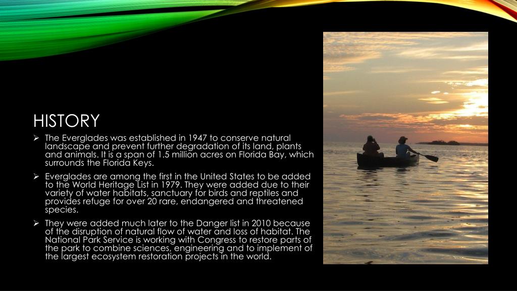 PPT - Everglades national park: SOUTH FLORIDA PowerPoint Presentation ...