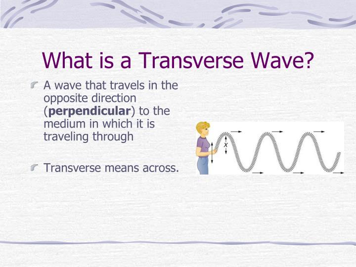 What Are Transverse Waves Definition