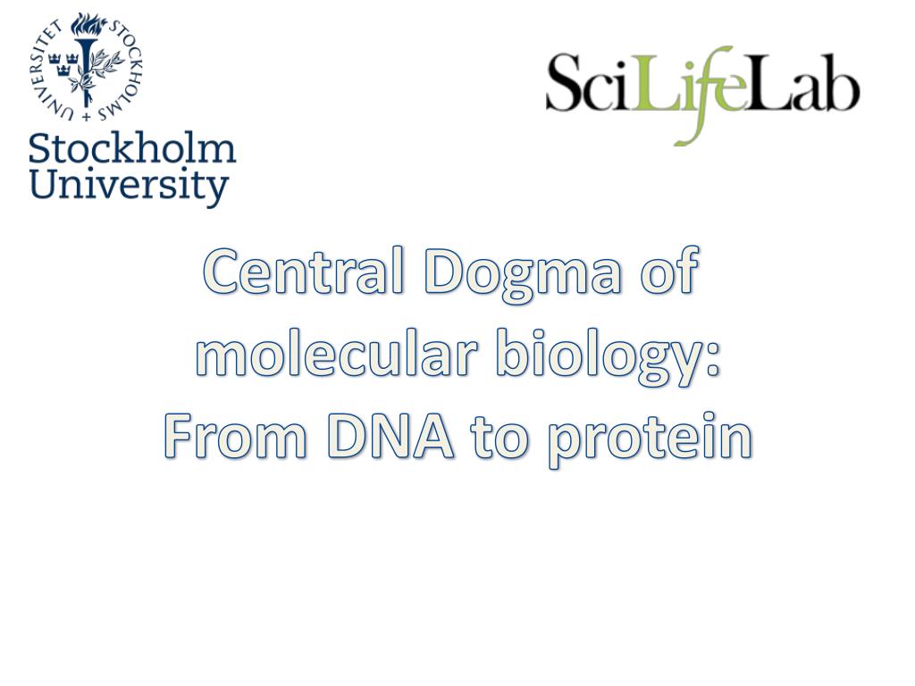 PPT - Central Dogma of molecular biology : From DNA to protein ...