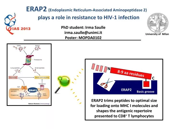 PPT - ERAP2 (Endoplasmic Reticulum-Associated Aminopeptidase 2 ...