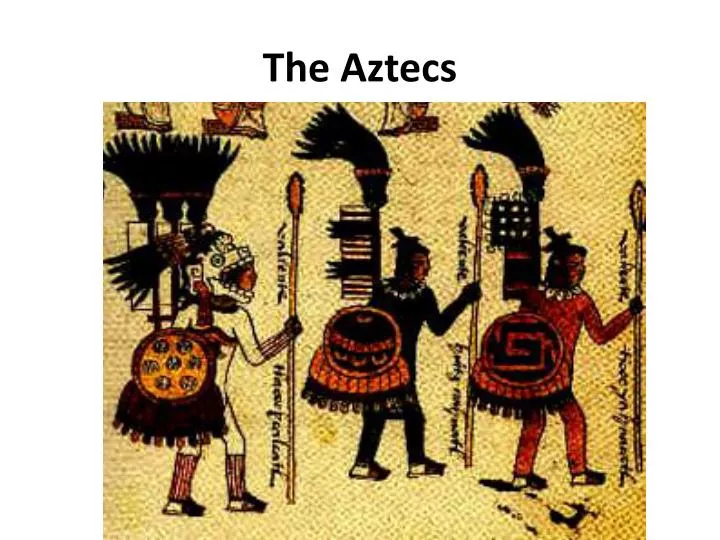 PPT - The Aztecs PowerPoint Presentation, free download - ID:2482547