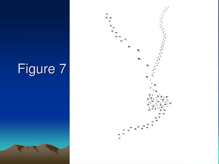 PPT - Tricky Tracks Observations and Inferences PowerPoint Presentation ...