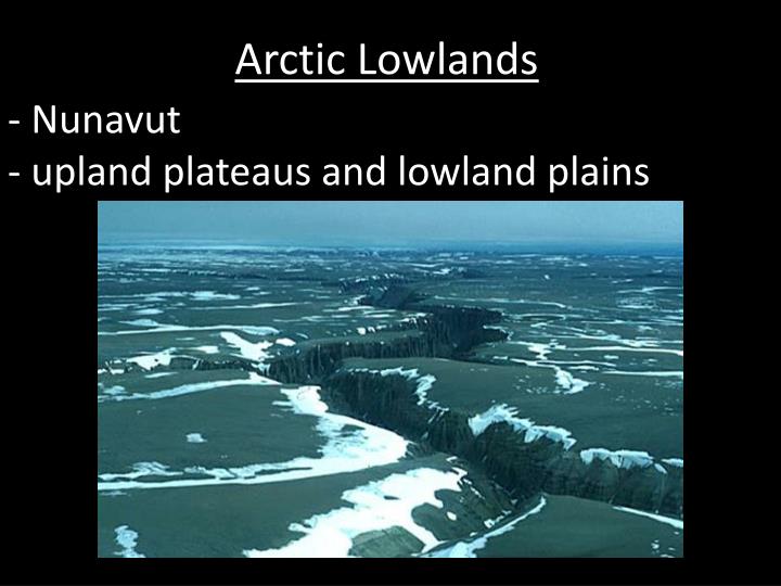 PPT - Arctic Lowlands PowerPoint Presentation - ID:2483116