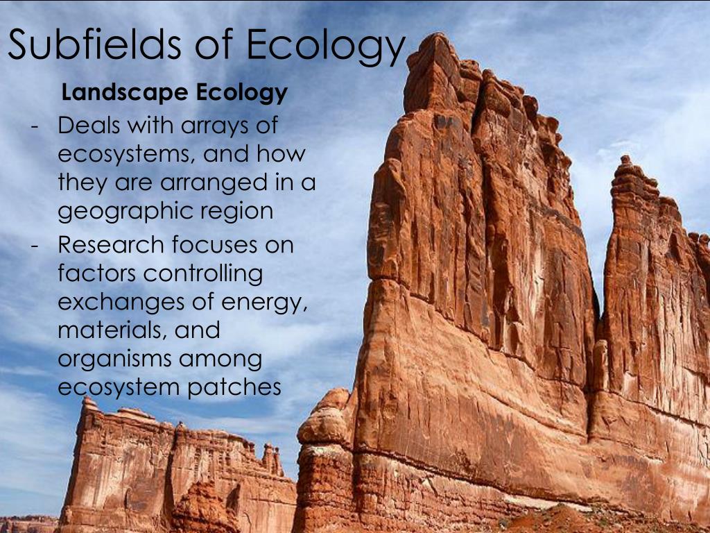 PPT - Ecology Review pg. 1080-1084 PowerPoint Presentation, free ...