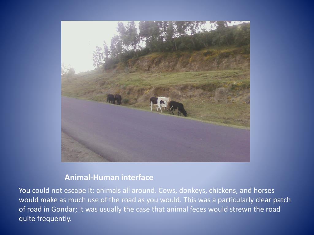 PPT - My Travels in Ethiopia September – November 2011 PowerPoint ...