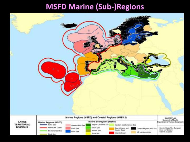 PPT - Marine Strategy Framework Directive: Goals and Challenges ...