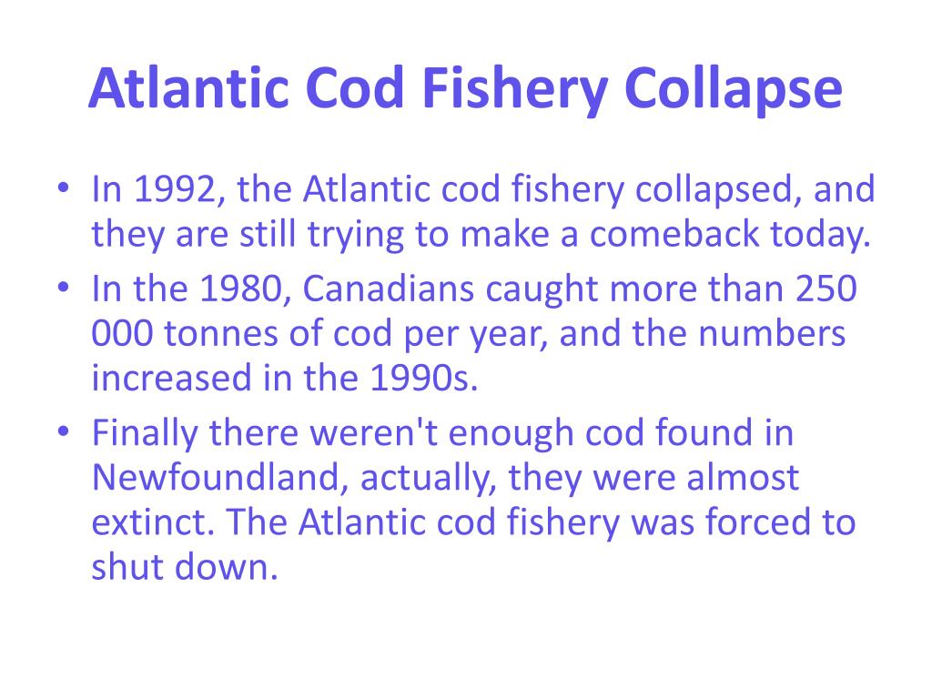 PPT - The Impact of F ishing Industries and Sustainability of Fisheries ...