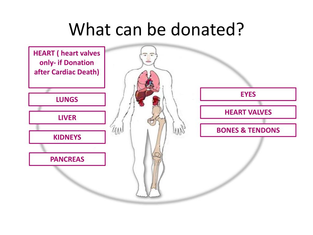 PPT - Title of presentation PowerPoint Presentation, free download - ID ...