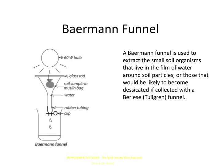 PPT - Pitfall Trap PowerPoint Presentation - ID:2483975