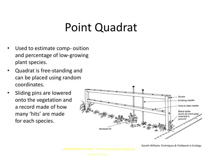 PPT - Pitfall Trap PowerPoint Presentation - ID:2483975