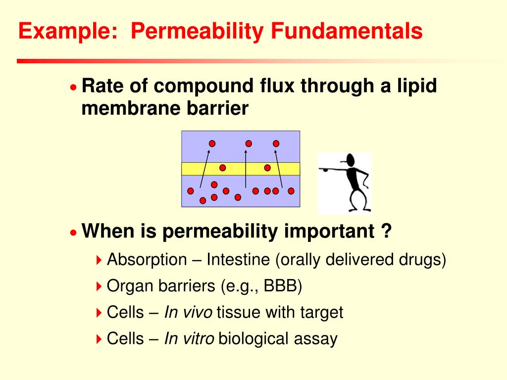 PPT - Drug-Like Properties: Optimizing Pharmacokinetics and Safety ...