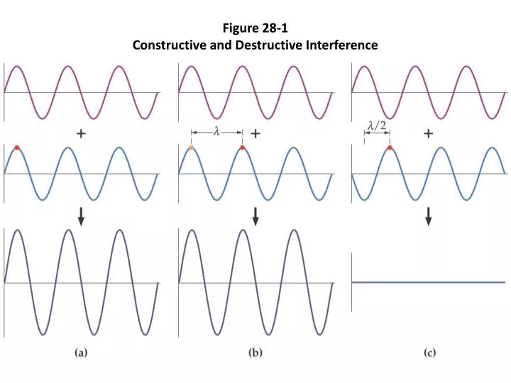 PPT - Figure 28-1 Constructive and Destructive Interference PowerPoint ... PPT - Figure 28-1 Constructive and Destructive Interference PowerPoint ...