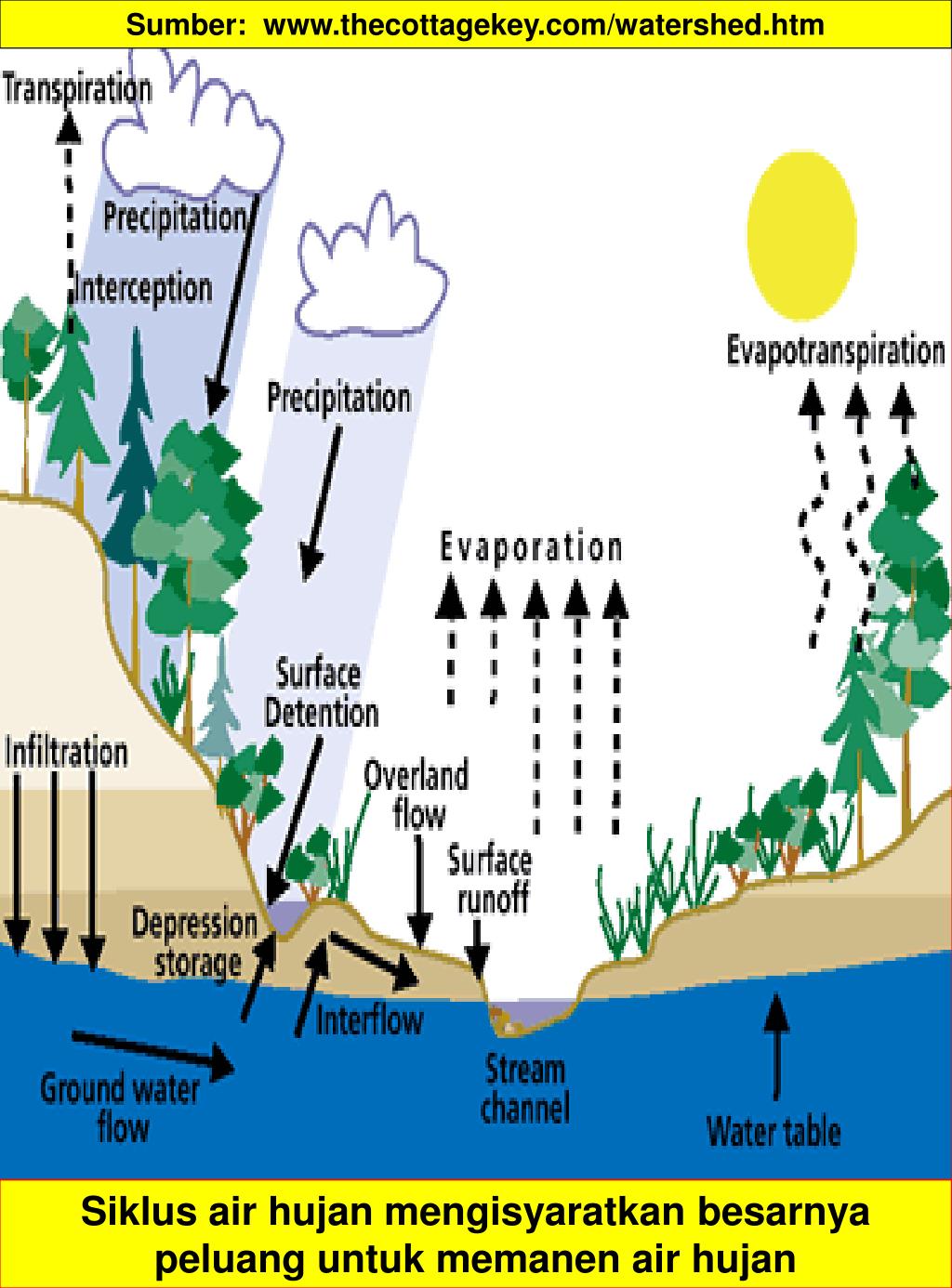 PPT - MENANAM POHON UNTUK MEMANEN AIR HUJAN PowerPoint Presentation ...
