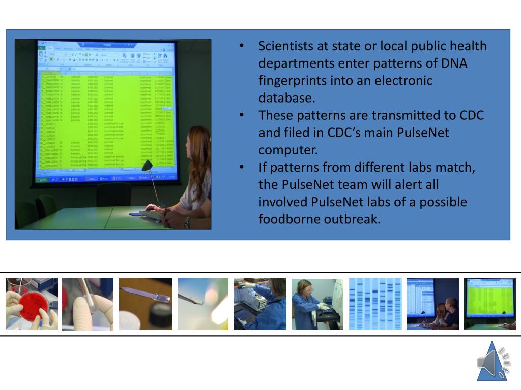 PPT - PulseNet tracks foodborne illness like the FBI tracks criminals ...
