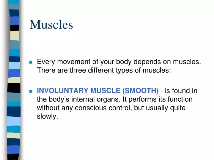 PPT - Muscles PowerPoint Presentation, free download - ID:2490147