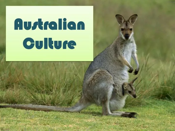 PPT - Australian Culture PowerPoint Presentation, free download - ID ...
