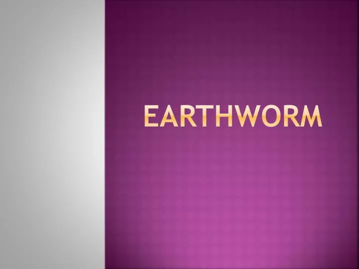 PPT - EARTHWORM PowerPoint Presentation, free download - ID:2491200