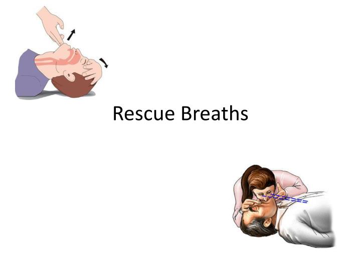 PPT - CPR PowerPoint Presentation - ID:2491833