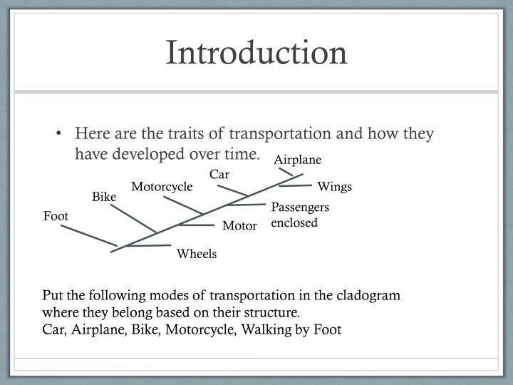 PPT - Reading and Making a Cladogram PowerPoint Presentation - ID:2491988