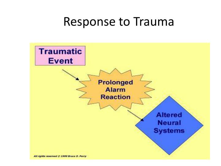 PPT - ACE Study Pyramid PowerPoint Presentation - ID:2492111