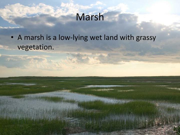 PPT - Geography Terms PowerPoint Presentation - ID:2492321