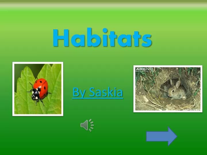 PPT - Habitats PowerPoint Presentation, free download - ID:2492891