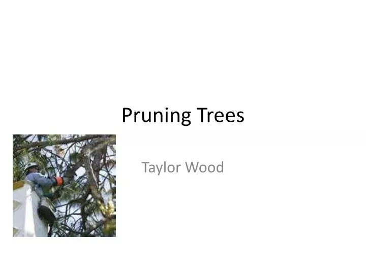 Ppt Pruning Trees Powerpoint Presentation Free Download Id 2493344