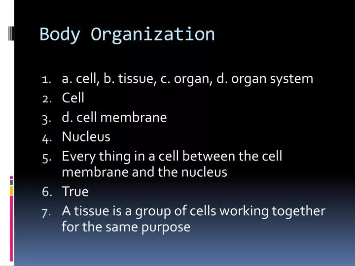 PPT - Body Organization PowerPoint Presentation, free download - ID:2493411