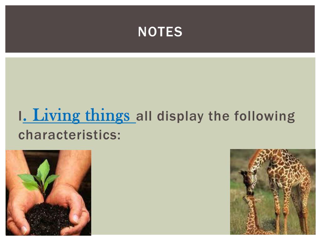 PPT - The 6 Characteristics of Living Things PowerPoint Presentation ...