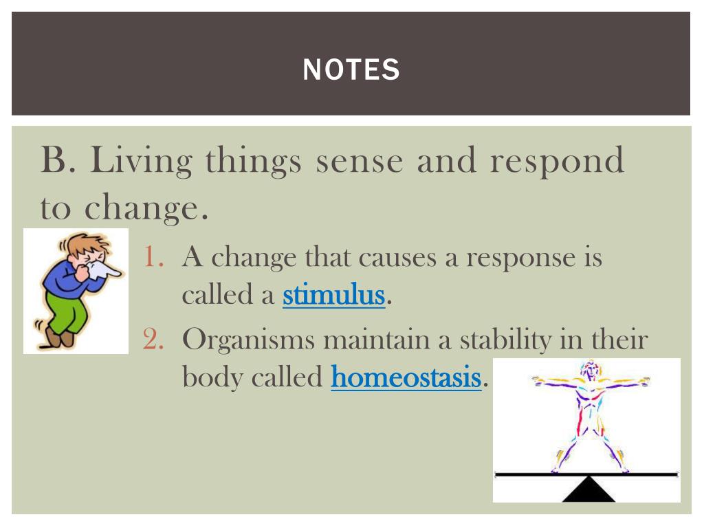 PPT - The 6 Characteristics of Living Things PowerPoint Presentation ...