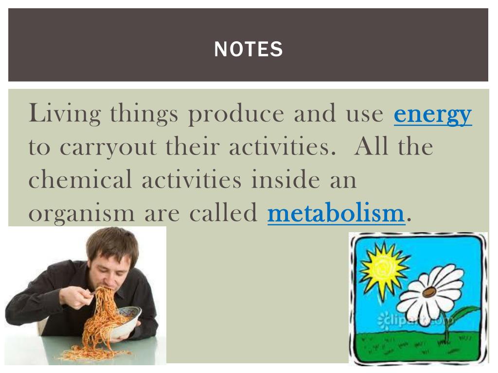 PPT - The 6 Characteristics of Living Things PowerPoint Presentation ...
