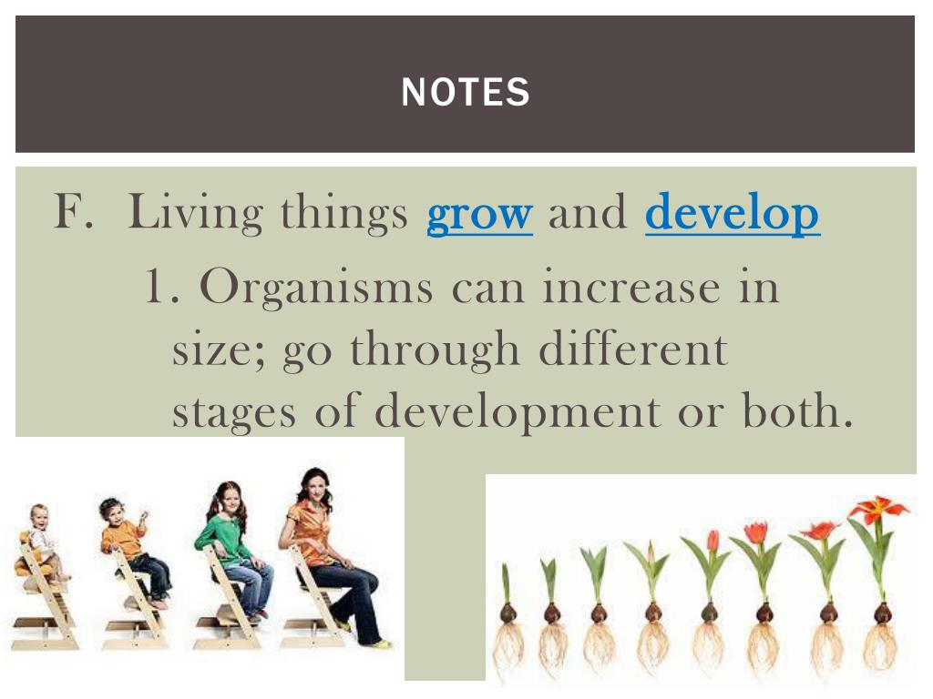 PPT - The 6 Characteristics of Living Things PowerPoint Presentation ...