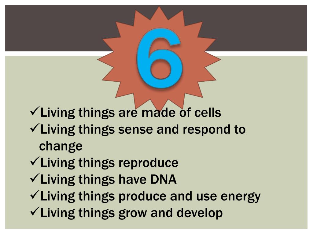 PPT - The 6 Characteristics of Living Things PowerPoint Presentation ...
