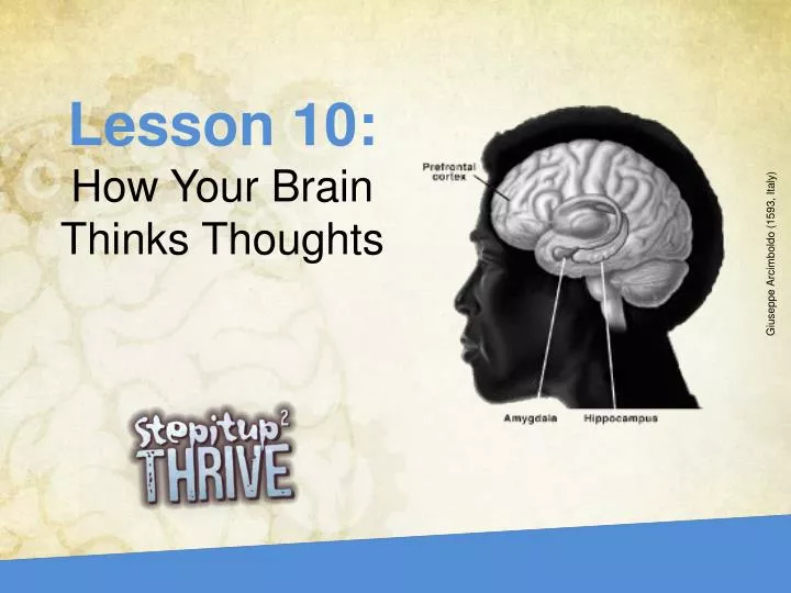 PPT - Lesson 10: How Your Brain Thinks Thoughts PowerPoint Presentation ...