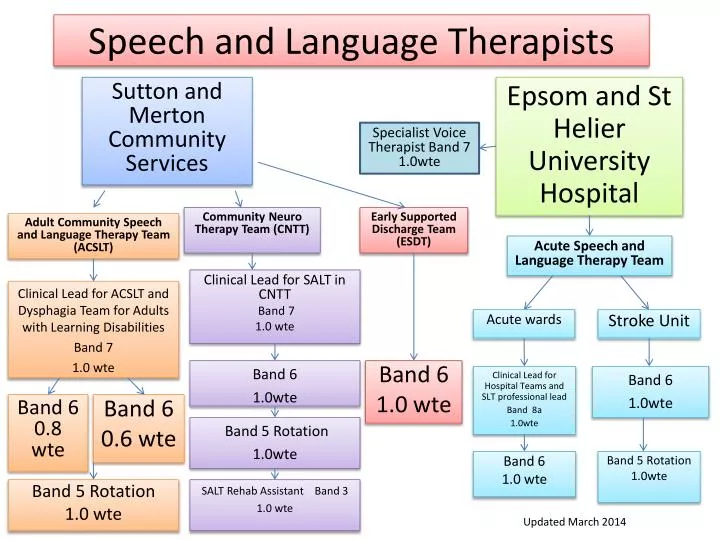 PPT - Speech and Language Therapists PowerPoint Presentation, free ...