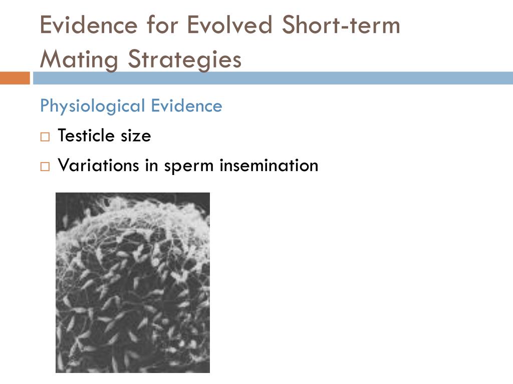 Ppt Short Term Sexual Strategies Powerpoint Presentation Free