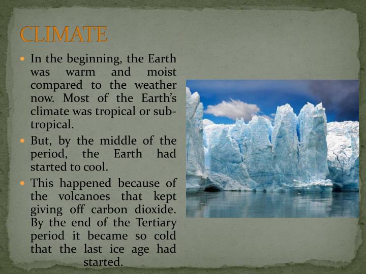 PPT - TERTIARY PERIOD PowerPoint Presentation - ID:2495307