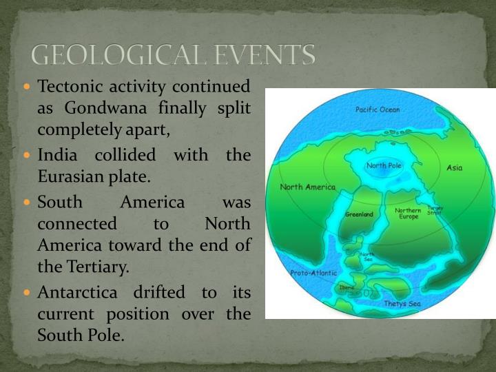 PPT - TERTIARY PERIOD PowerPoint Presentation - ID:2495307