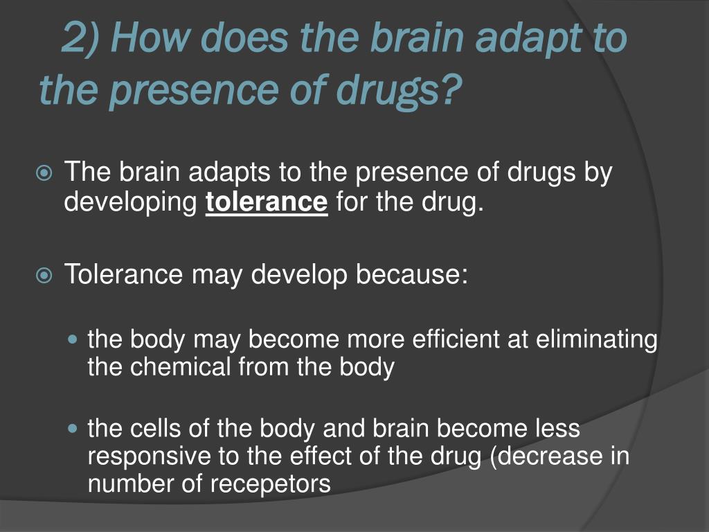 Ppt Long Term Effects Of Drugs On The Brain Powerpoint Presentation