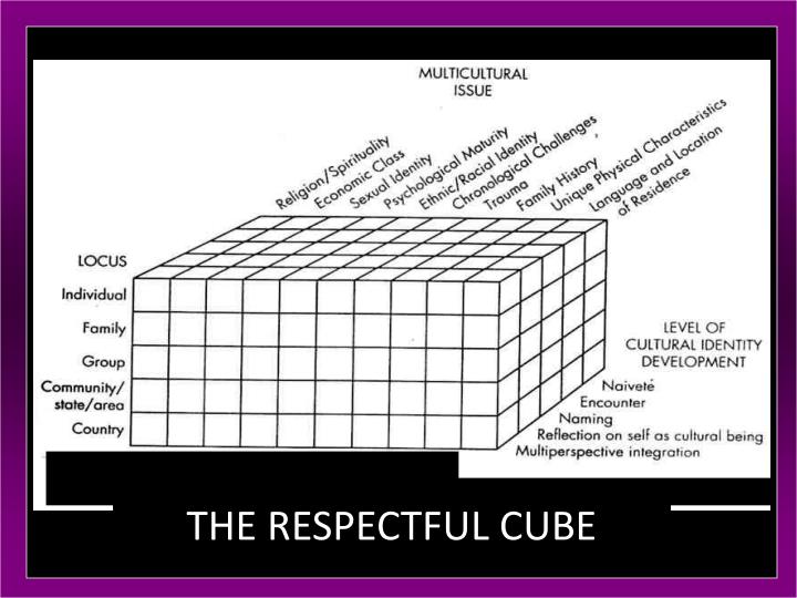 PPT - Multicultural School Counseling: The Basics (Unit IIIa ...