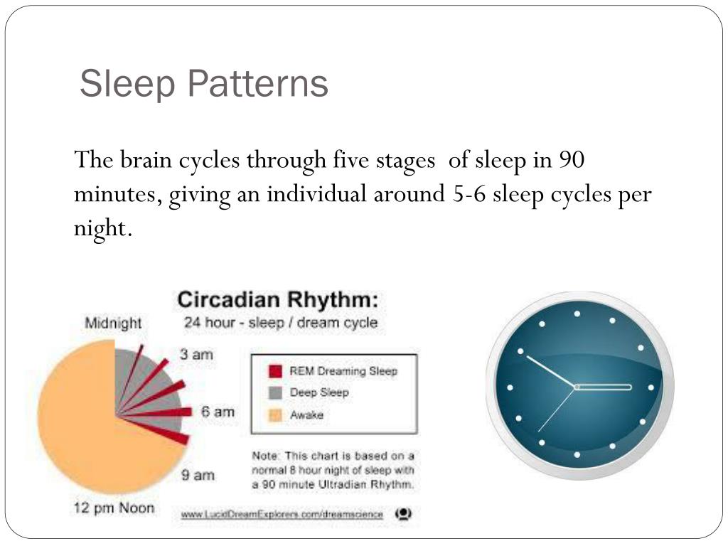 Ppt Sleep Rhythms Powerpoint Presentation Free Download Id 2496216