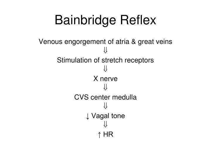 PPT - Physiology Cardiovascular System PowerPoint Presentation - ID:2496273