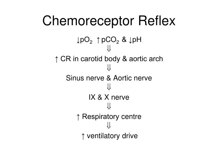 PPT - Physiology Cardiovascular System PowerPoint Presentation - ID:2496273