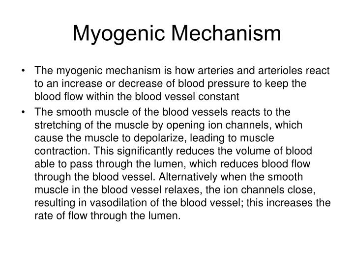 PPT - Physiology Cardiovascular System PowerPoint Presentation - ID:2496273